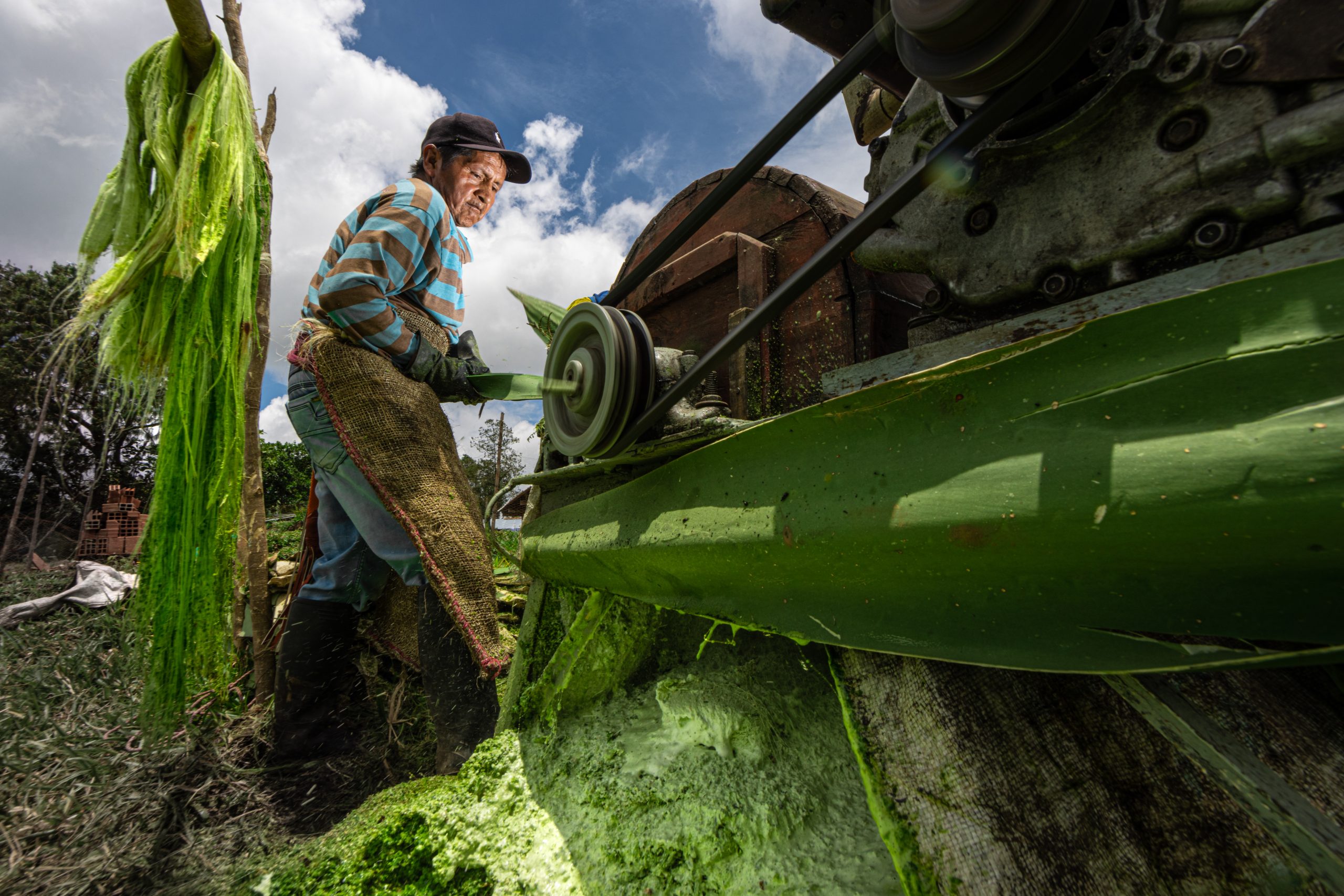 Proyecto 2019-2520004772 - Transformación de la fibra de fique en el ...