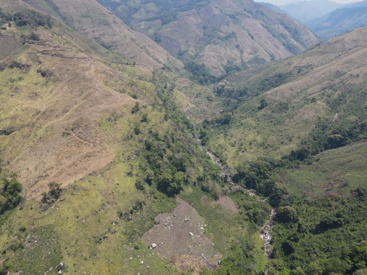 Proyecto 2019-4400043712 - Restauración de bosques en Agustín Codazzi ...