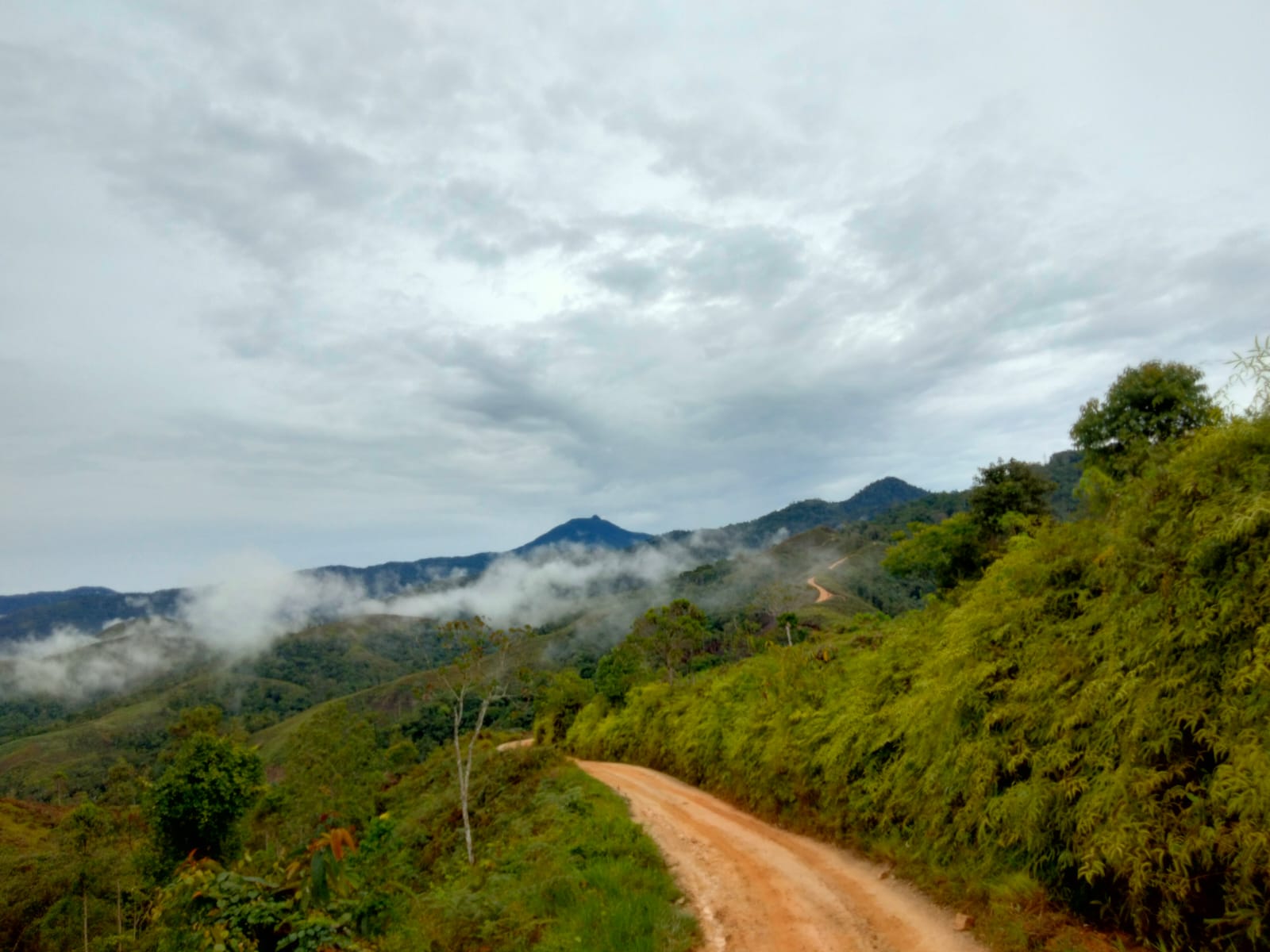 Proyecto 2019-4400045032 - Ganadería Sostenible doble propósito en ...