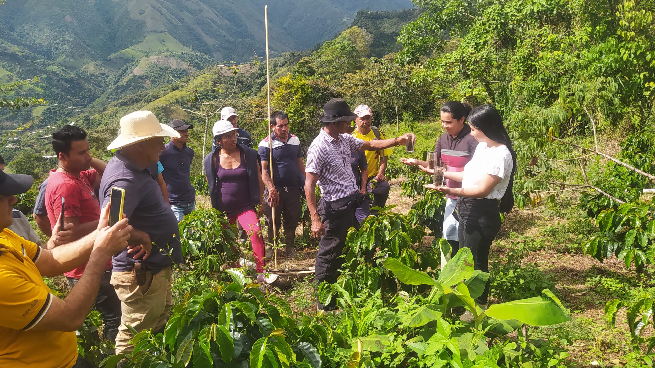 Proyecto 2019-2520005772 - Producción de café especial en balboa, Cauca ...